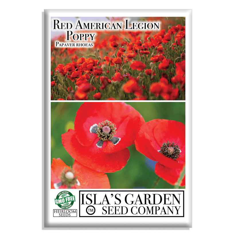 Red American Legion Poppy | 3,000 Seeds/Pk – Isla's Garden