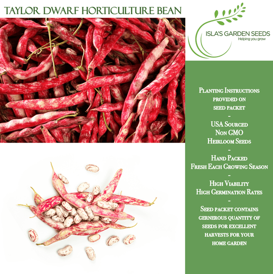 Taylor Dwarf Horticulture (Cranberry) Bean | 25 Seeds/Pk – Isla's Garden