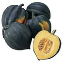 Table Queen Acorn Winter Squash, 30 Heirloom Seeds Per Packet, Non GMO ...