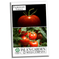 Floradade Tomato – Isla's Garden