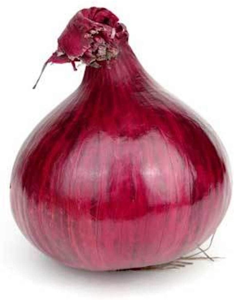 Red Grano Onion Seeds, 300 Heirloom Seeds Per Packet, Non GMO Seeds ...